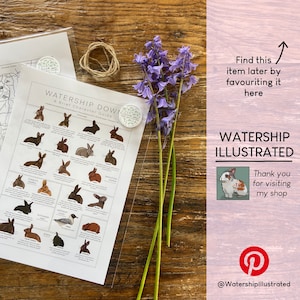 Watership Down Rabbit Print | "a Brief Character Guide" | Hand Drawn ...