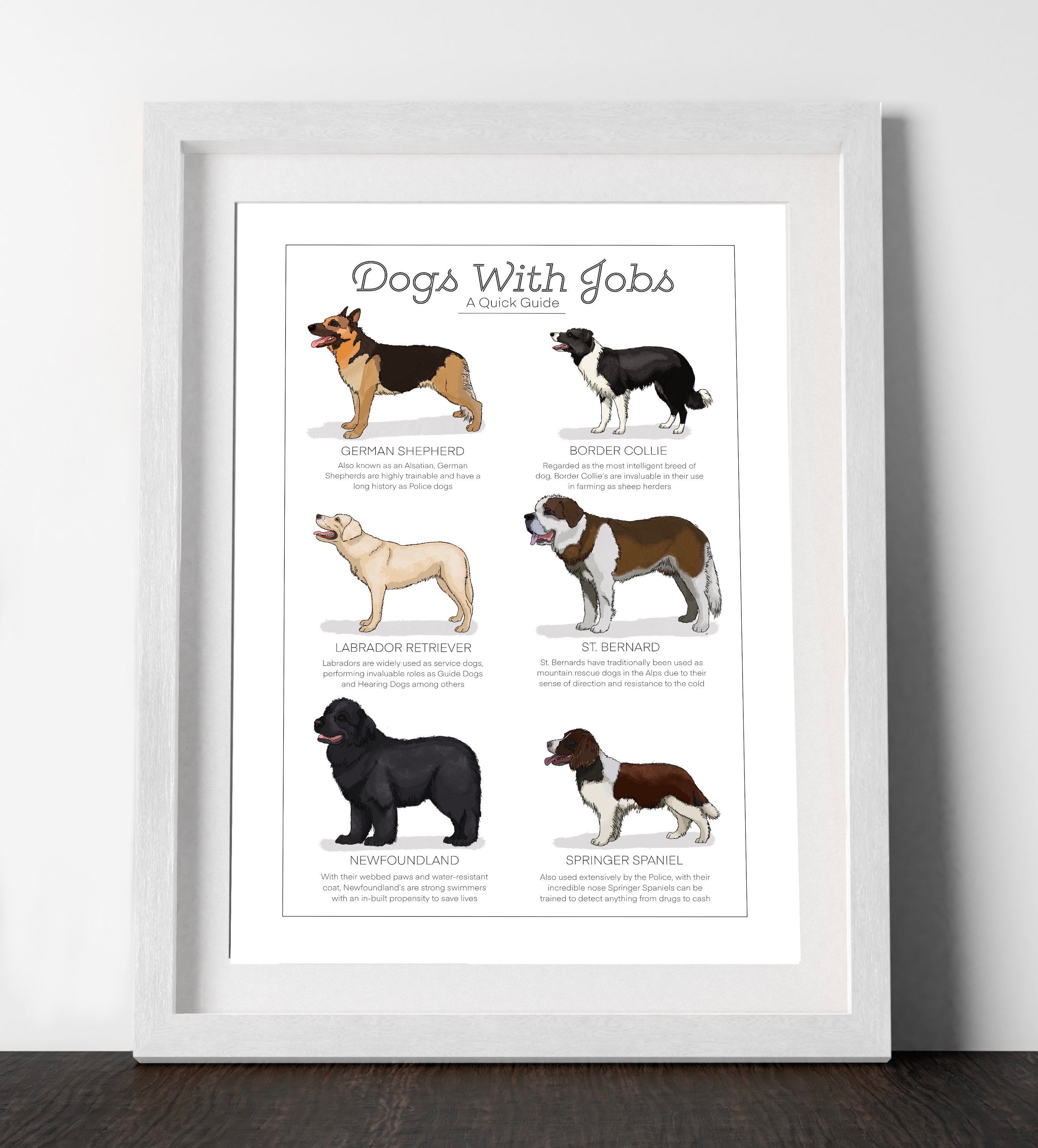 Why Do Dogs Have Jobs