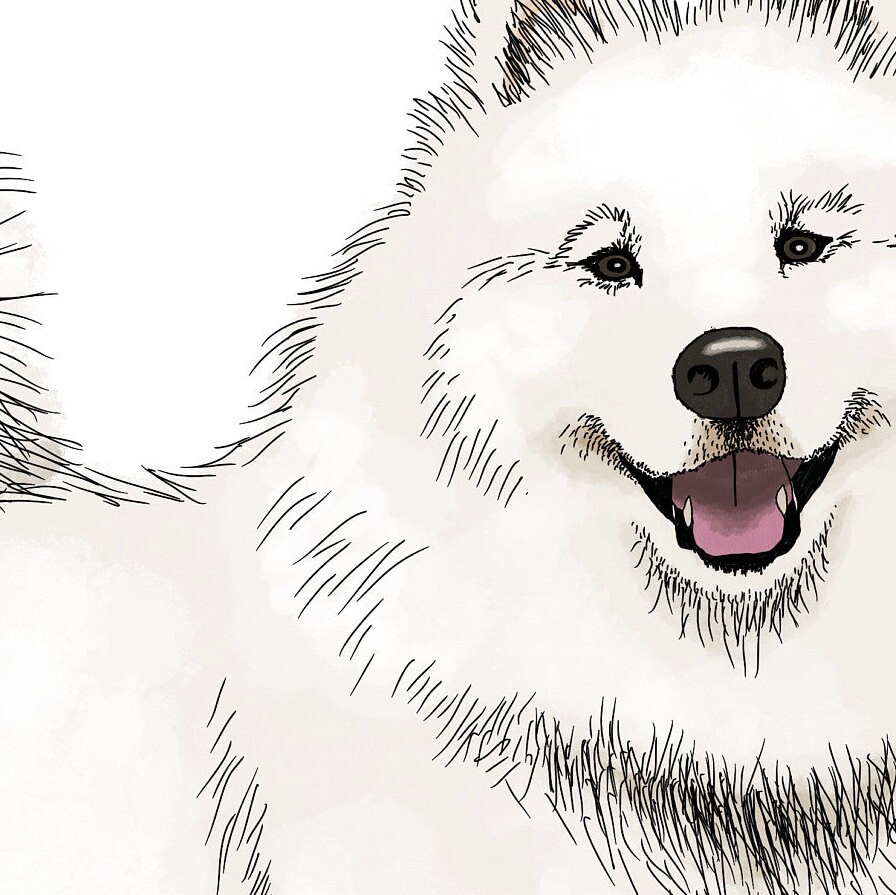 Samoyed Hand Drawn Dog Artwork Print | Personalised | Home Decor ...