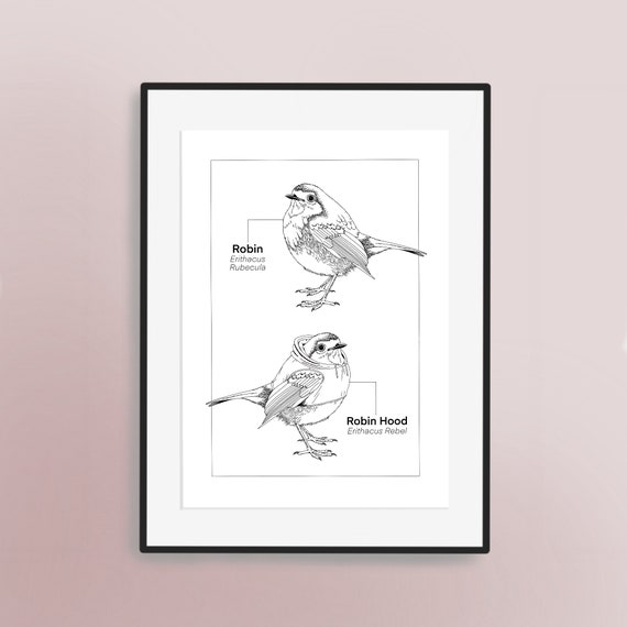 Robin Hand Illustrated Art Print Bird Lovers Artwork | Etsy