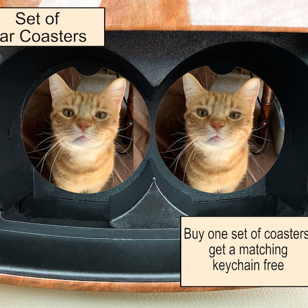 Cat Coasters - Etsy