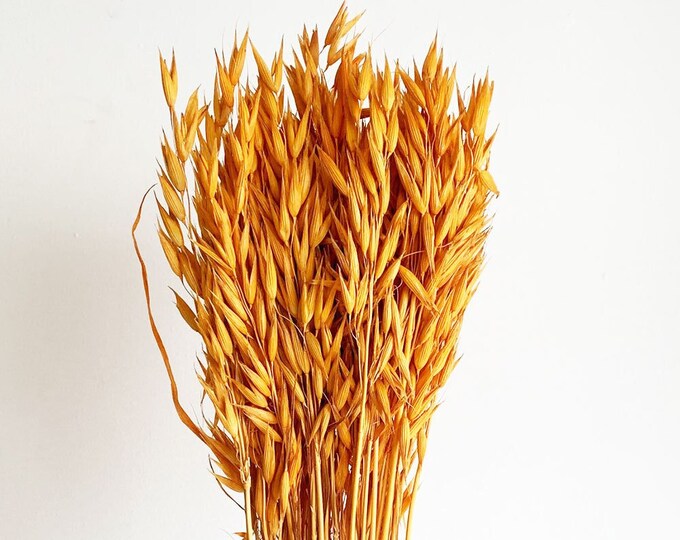 Dried Oat, Orange Dried Oat Bunch, Dried Flowers Bouquet, Dried Grass ...