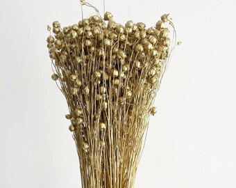 Dried Natural Linum / Dried Flax Seeds Pods / Wholesale Dried - Etsy