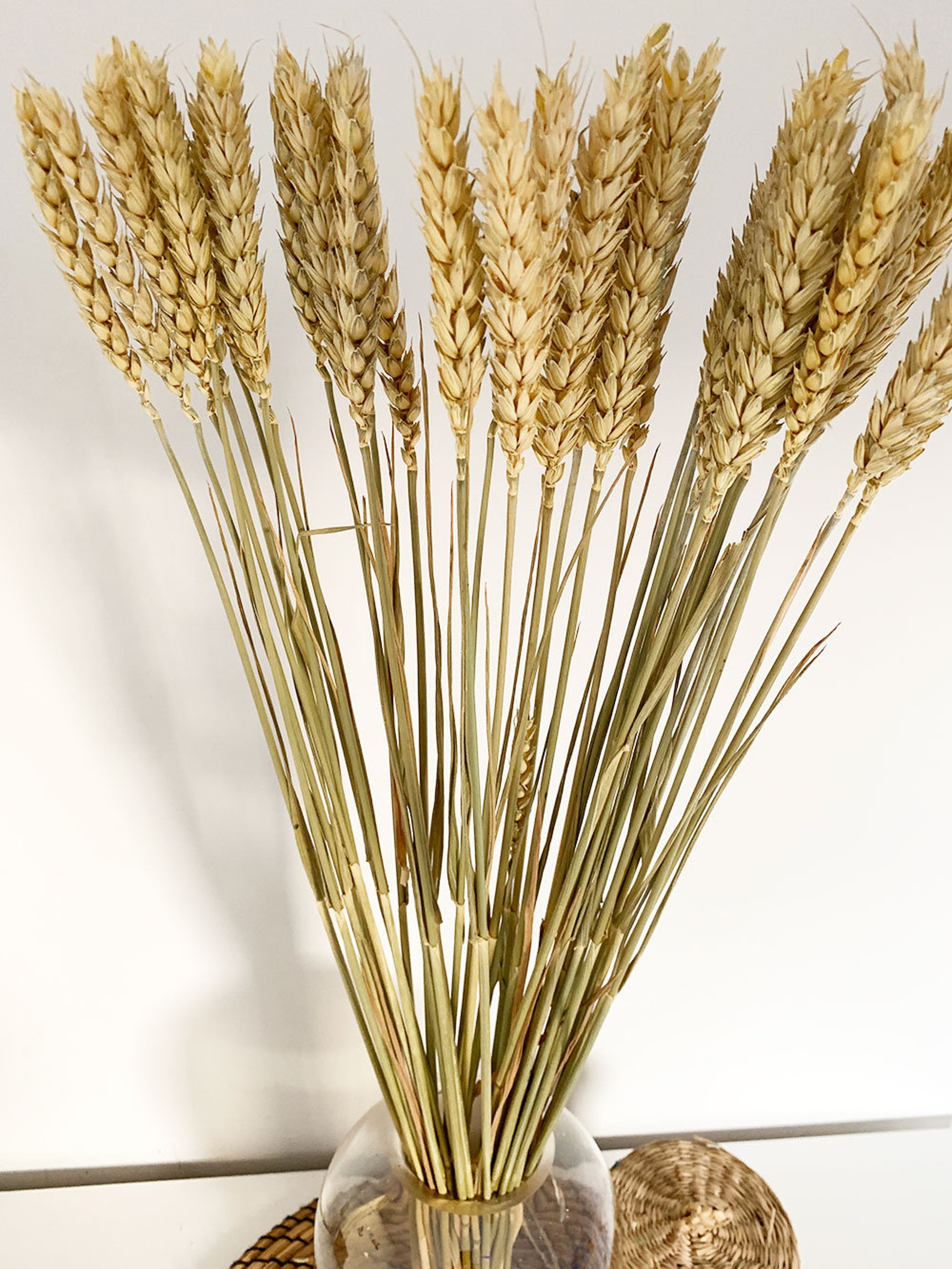 20 Pcs Dried Wheat Natural Wheat Dried Flowers Bouquet - Etsy