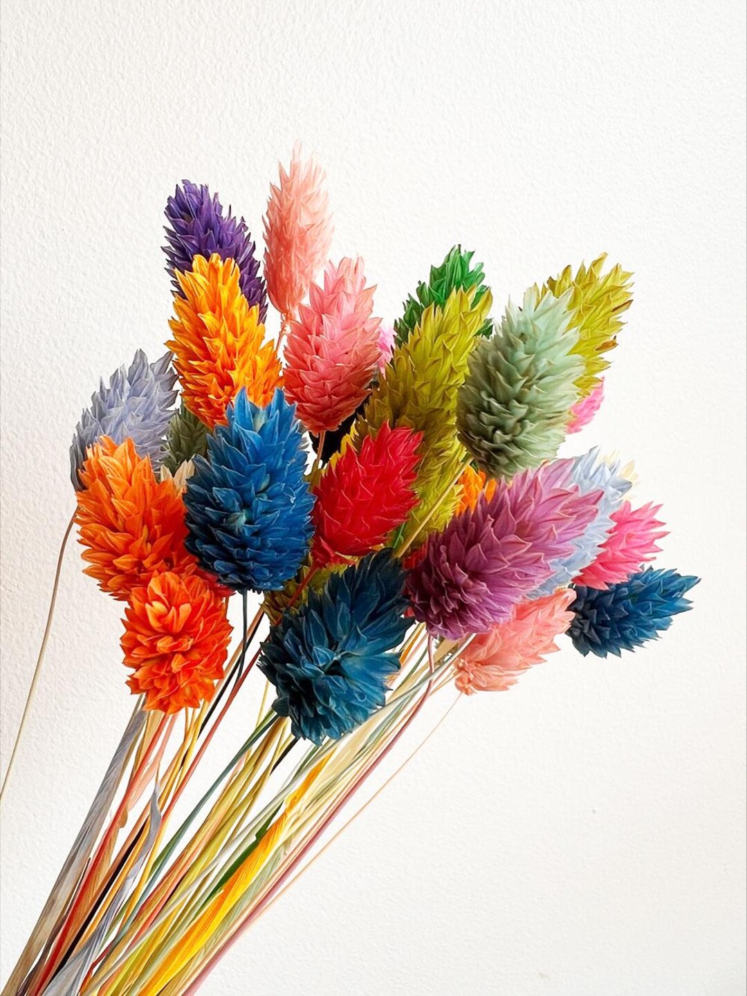 50 Pcs Dried Canary Grass, Rustic Dried Flower Arrangement for Boho ...