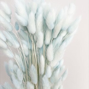 20 Pcs Dried Lagurus Light Blue Bunny Tails Dried Bunny - Etsy
