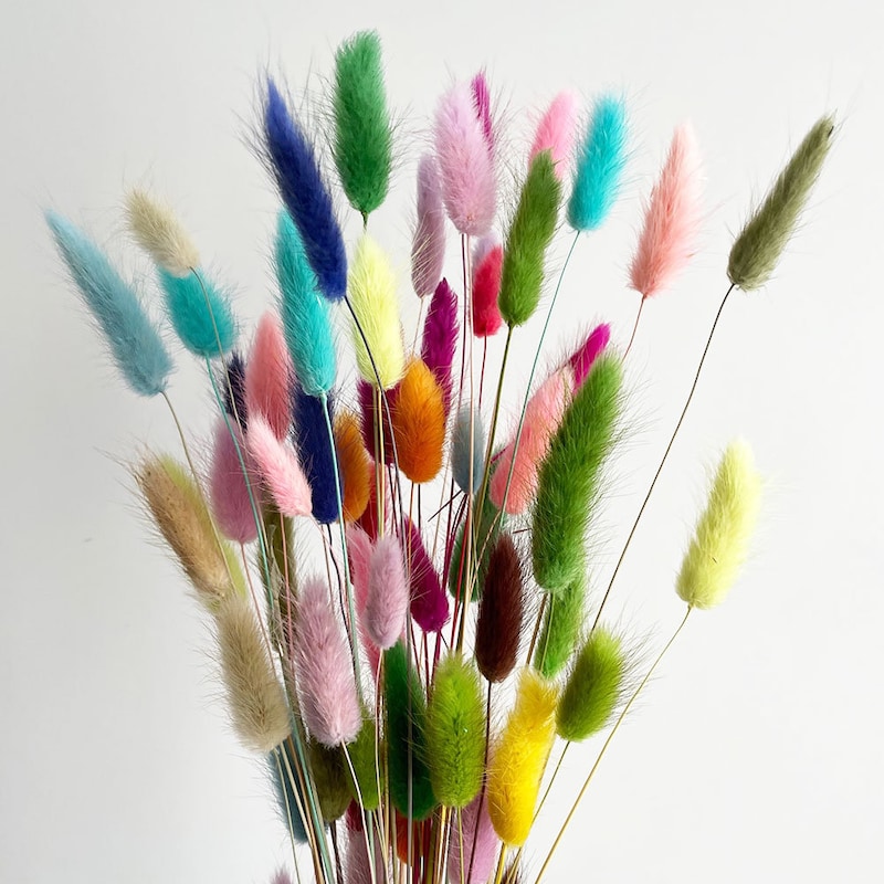 Bunny Tails - Etsy
