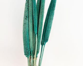 5 Pcs Dried Grass, Pampas Grass, Dried Flowers Bouquet, Dried Grass ...