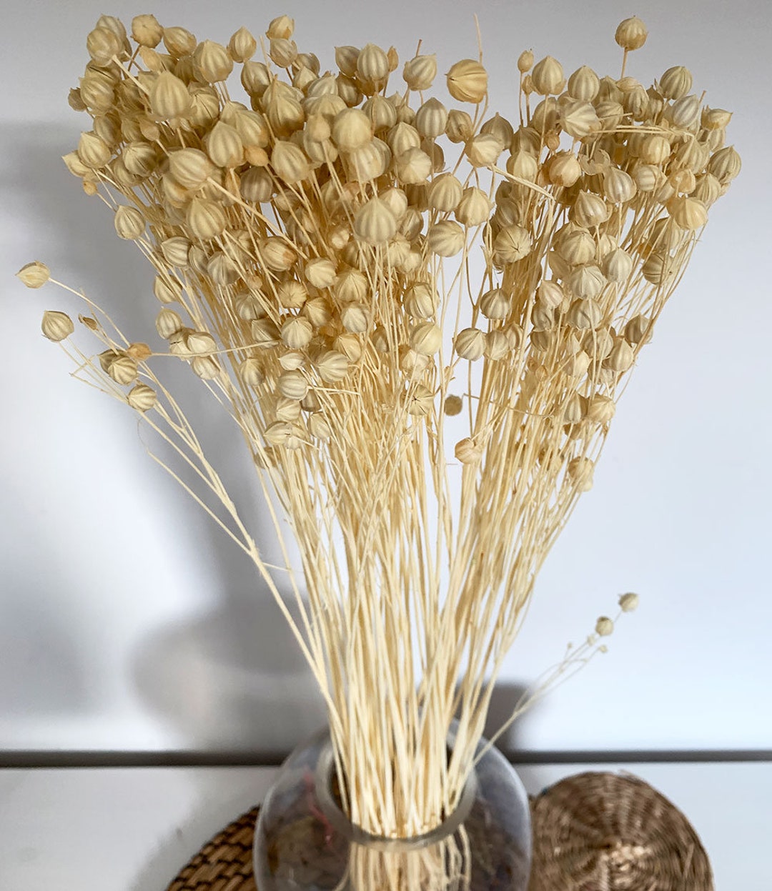 Dried Linum ,white Flax Bunch, Dried Canary Grass, Dried Flowers ...