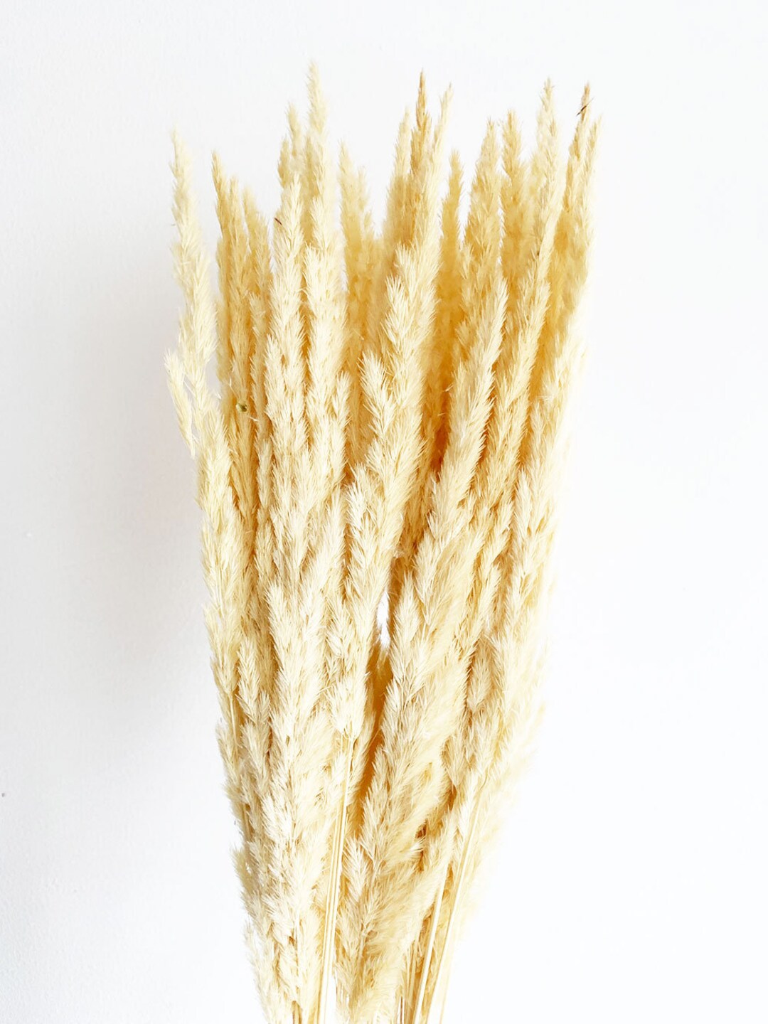 10 Pcs Dried Grass, Bleached Forest Grass, Dried Flowers Bouquet, Dried ...