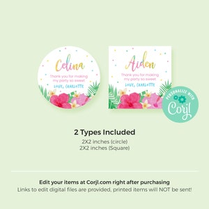 Editable Luau Hawaiian Summer Birthday Guest Name Tag Template Instant ...