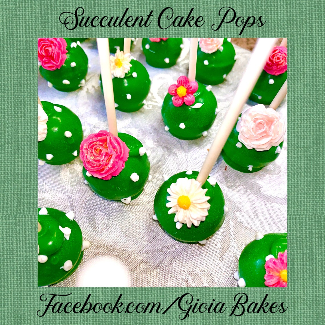One Dozen Succulent Baked Style Cake Pops - Etsy
