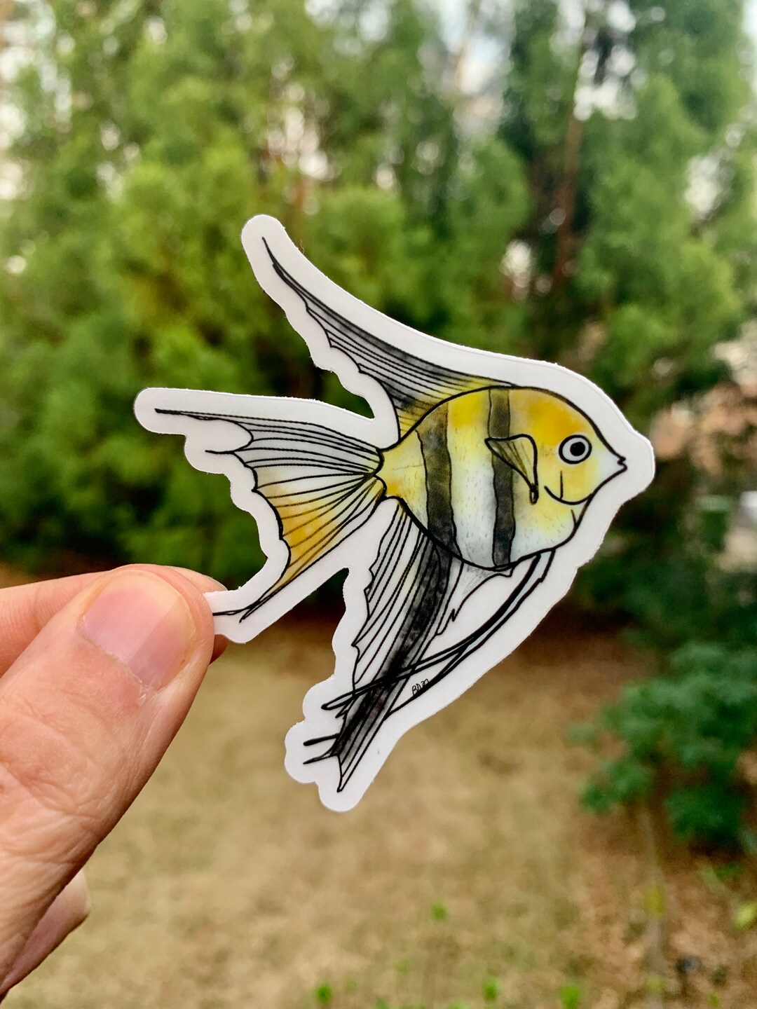 Angelfish {sticker} - Etsy