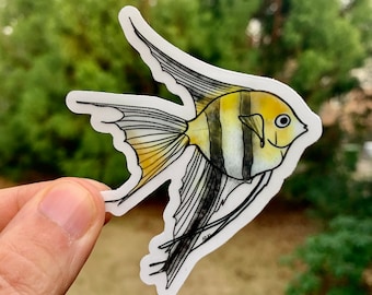 Angelfish Laptop / Wall Vinyl Decal Shadow Box Decal Sticker - Etsy
