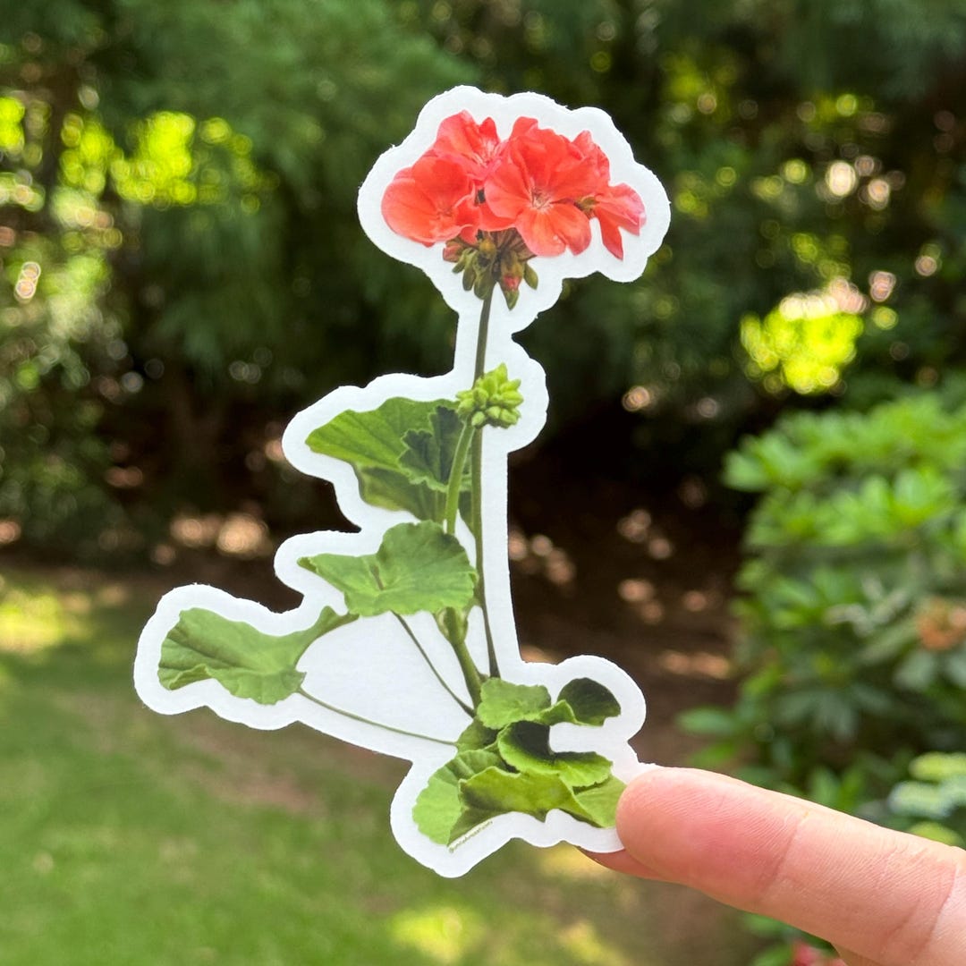 Geranium Sticker: Waterproof Vinyl Decal - Etsy