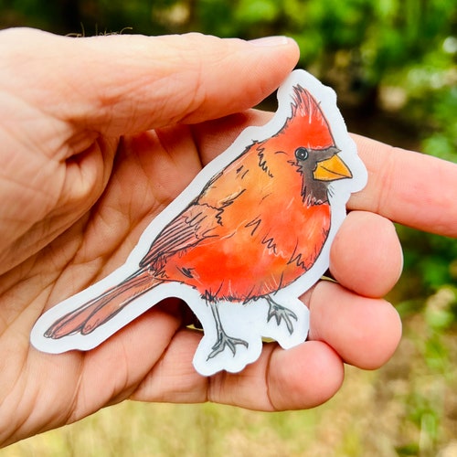 Sticker 38A Watercolor Red Cardinal With Pink Flowers PRINTED - Etsy