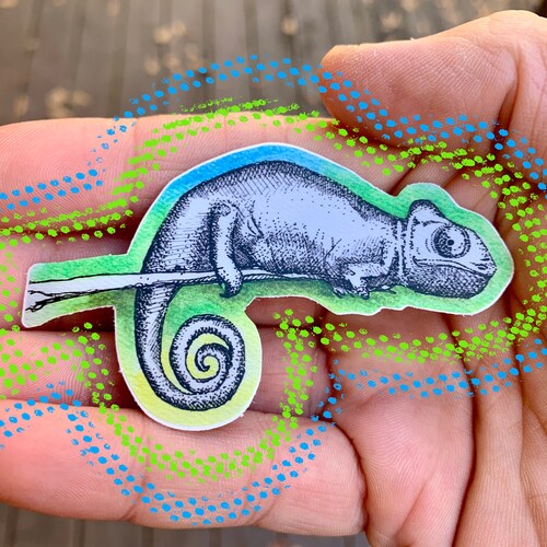 Chameleon Vinyl Sticker Animal Lover Zoology Wildlife - Etsy