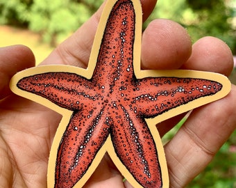 Starfish Sticker | Etsy