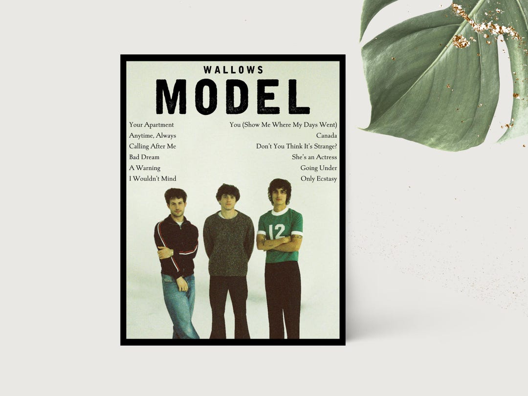 Wallows Poster, Model Poster, Music Poster - Etsy UK