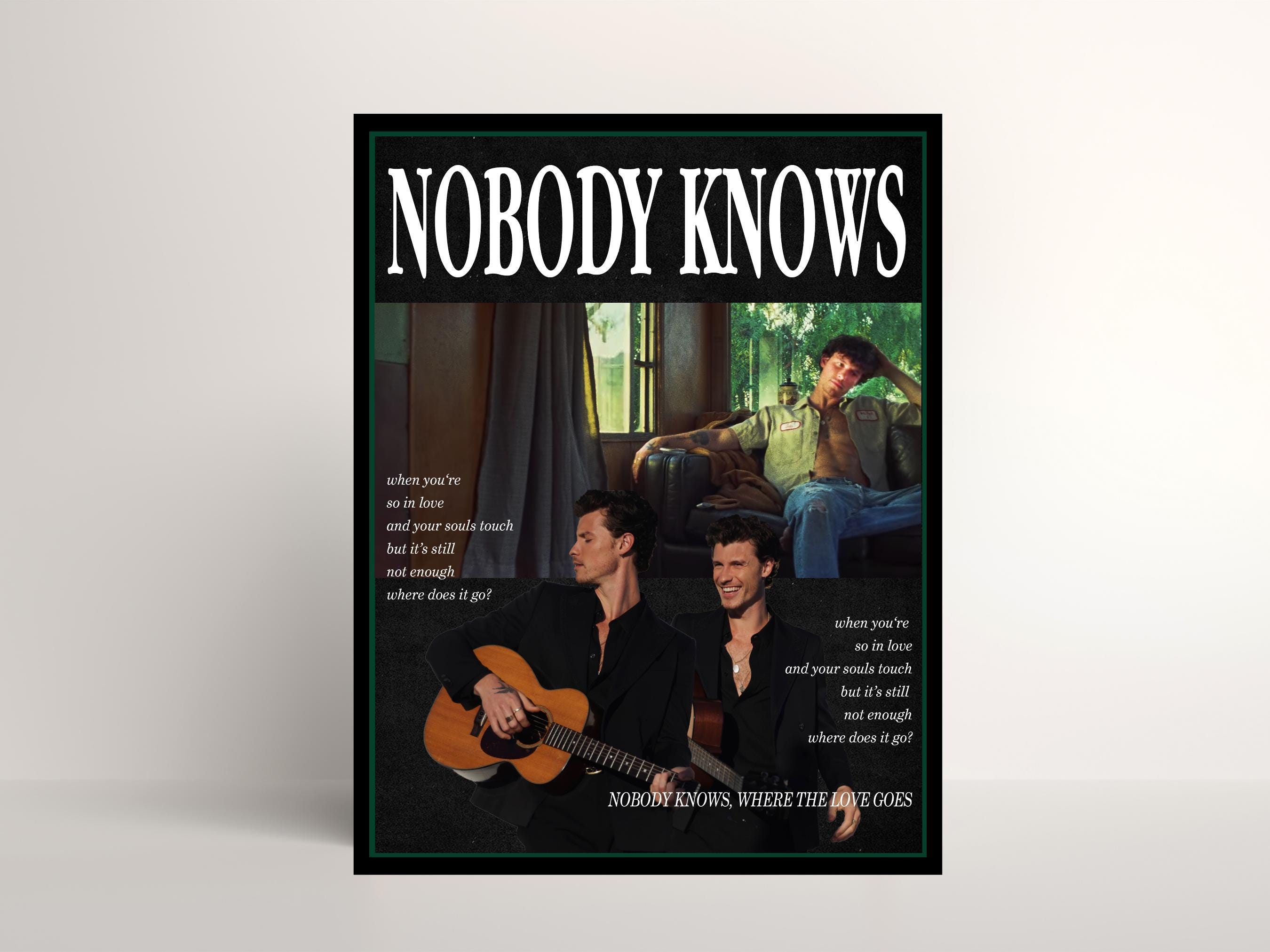 Shawn Mendes Poster, Nobody Knows Poster, Shawn Poster, Music Poster - Etsy