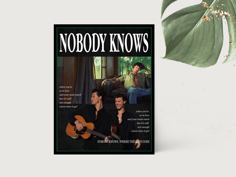 Shawn Mendes Poster, Nobody Knows Poster, Shawn Poster, Music Poster - Etsy