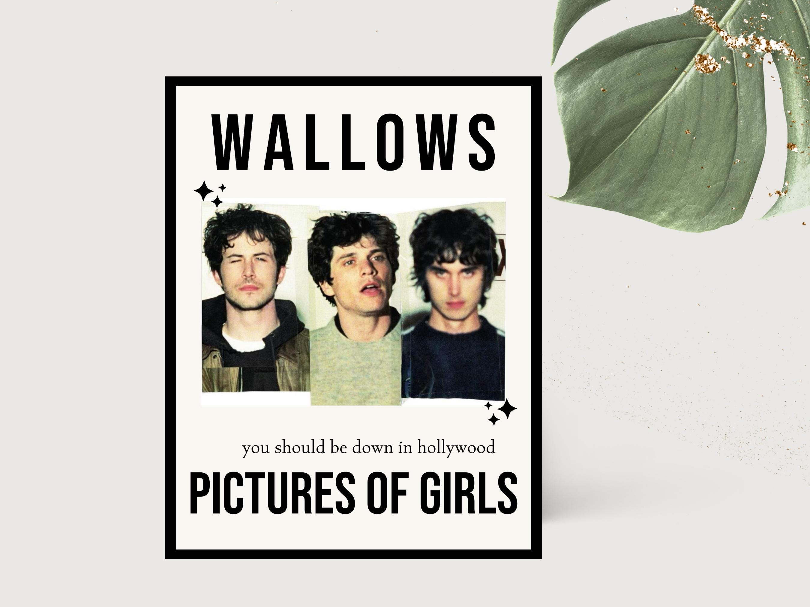Wallows Poster, Model Poster, Pictures of Girls Poster, Music Poster - Etsy