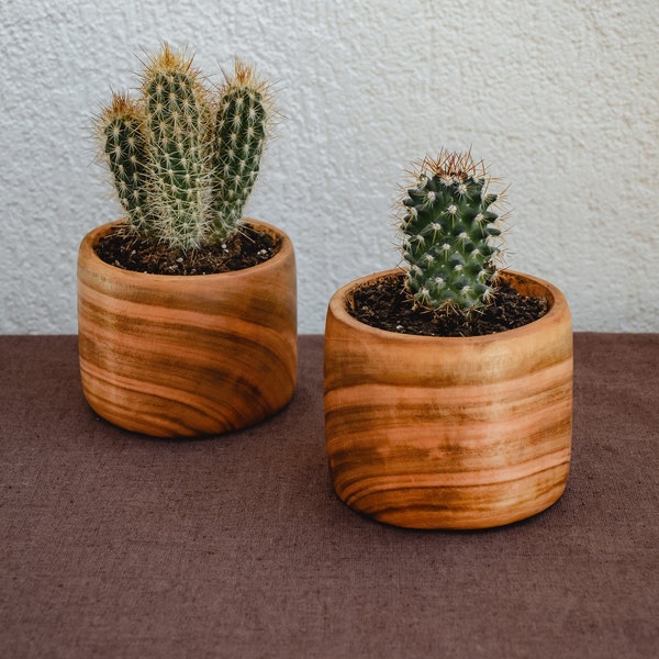 Cactus Pot - Etsy