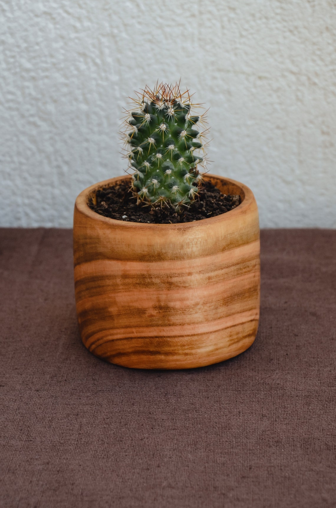 Cactus Pot, Flower Pot Planter for Succulent Cacti Made of Cherry Wood ...