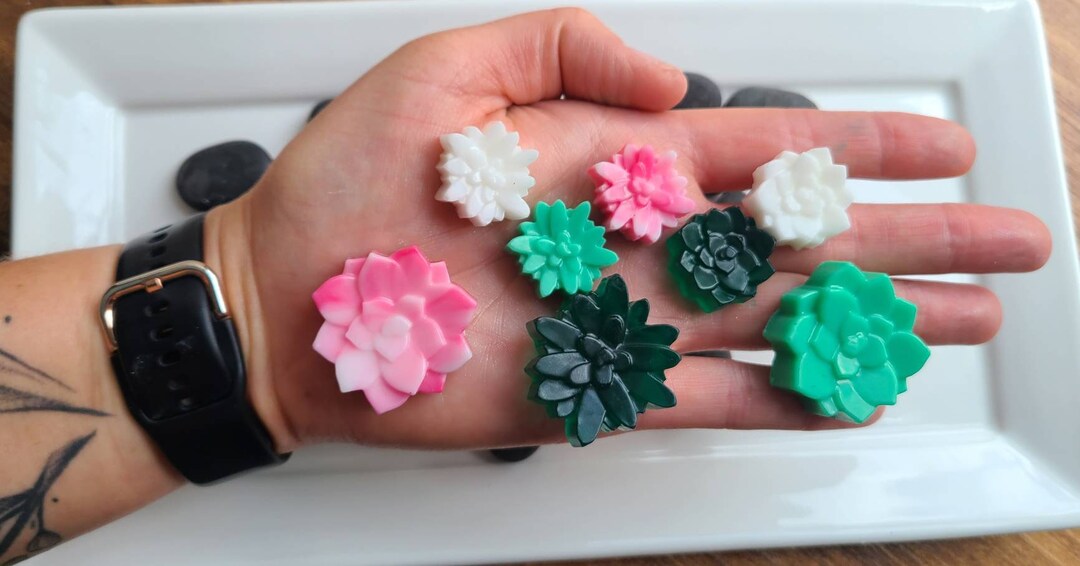 Succulent Mini Decorative Soaps Set of 8 - Etsy