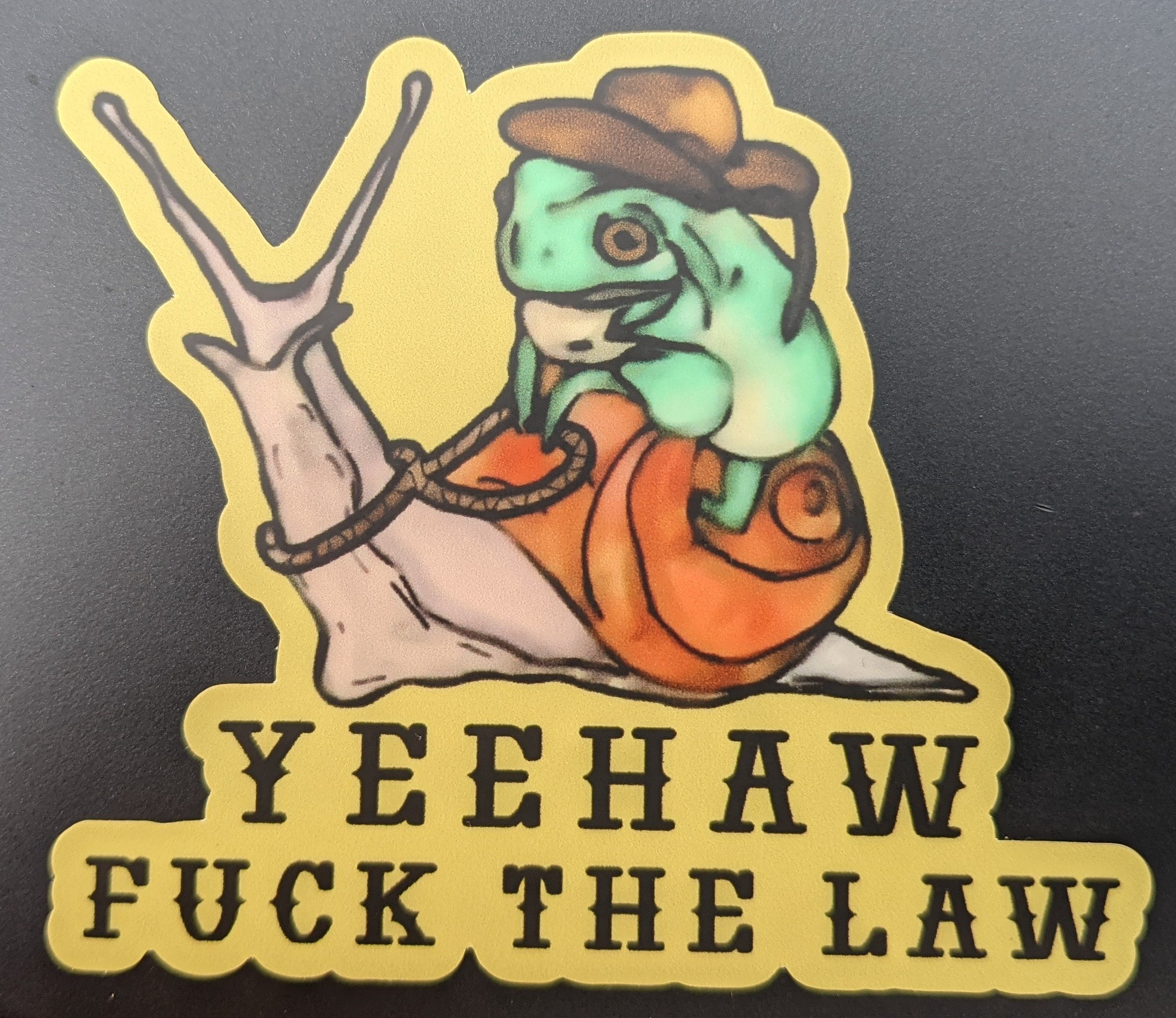 Frog Riding Snail Vinyl Sticker Yeehaw Fuck the Law Laptop | Etsy