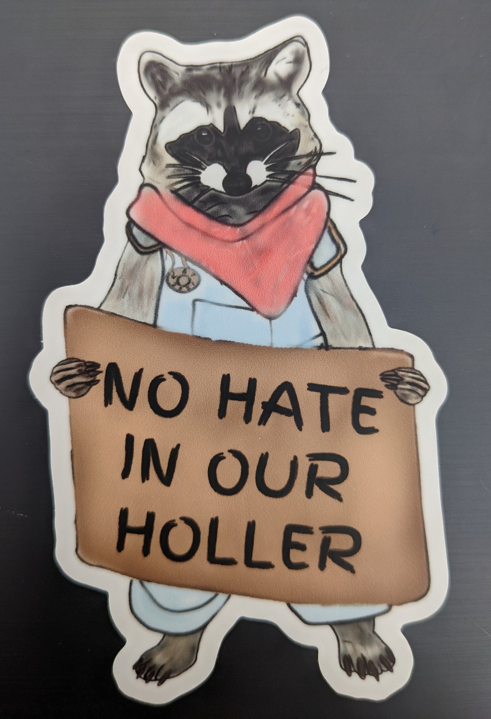No Hate in Our Holler Sticker Raccoon Laptop Sticker | Etsy