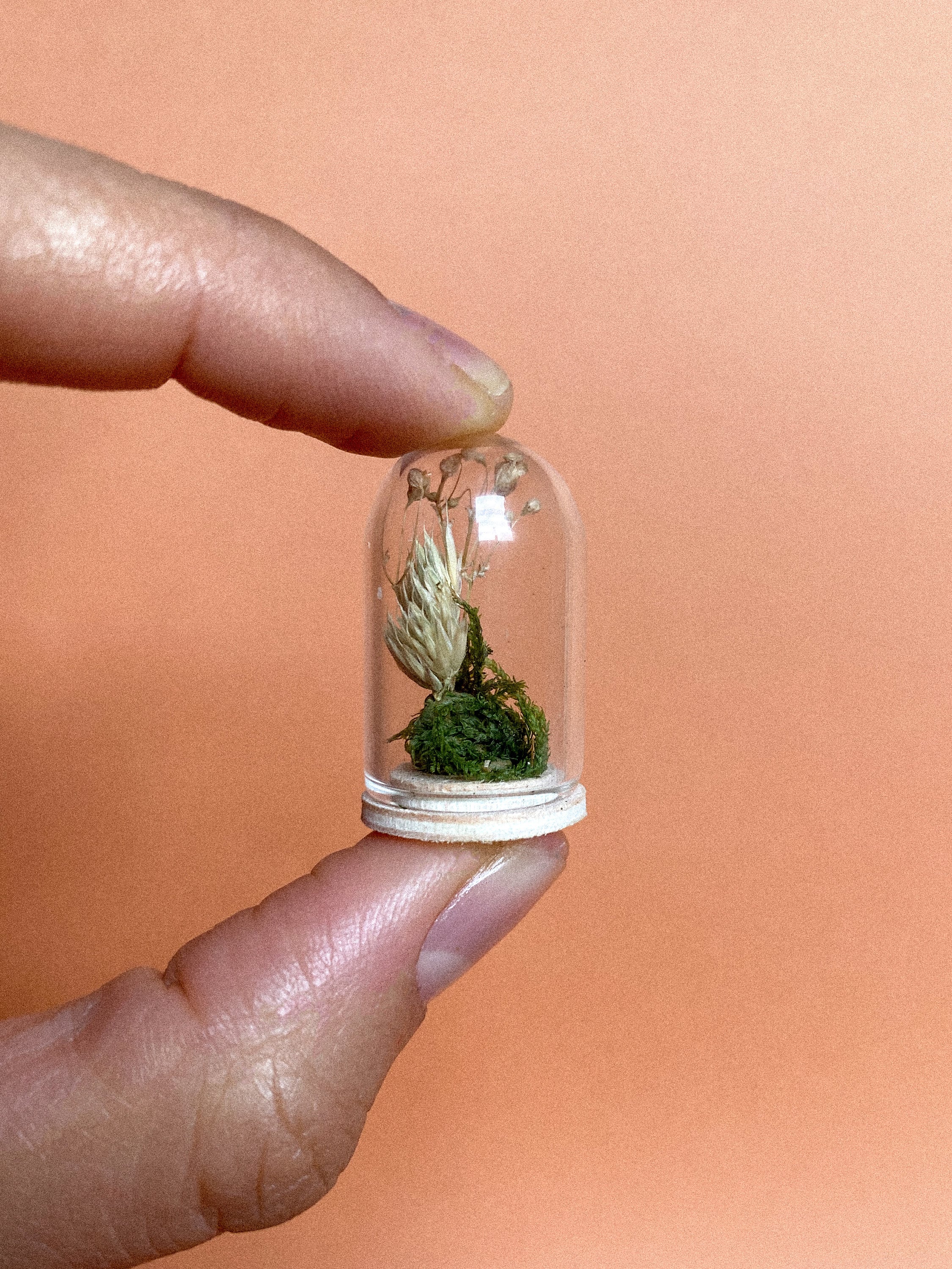 Miniature Glass Bell Jar With Flower Display Modern Dolls - Etsy Canada