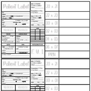 Clinical Nurse Brain Sheet - Etsy