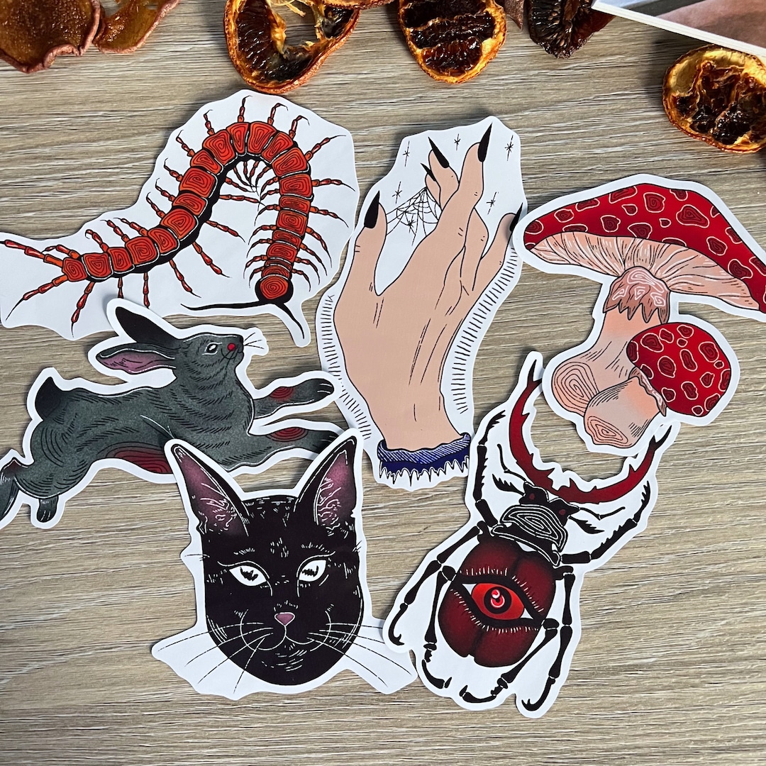 Witch Vinyl Sticker Pack Cute Large Set 6 Pcs for Laptop Book ...