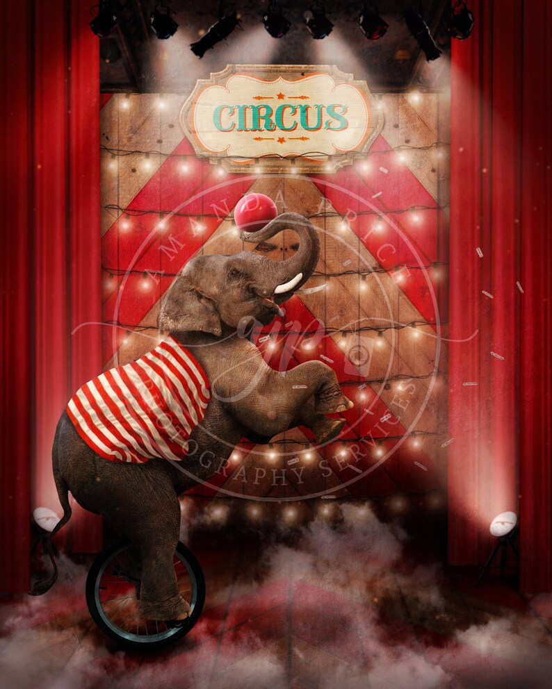 Circus Swing Backdrop | Etsy