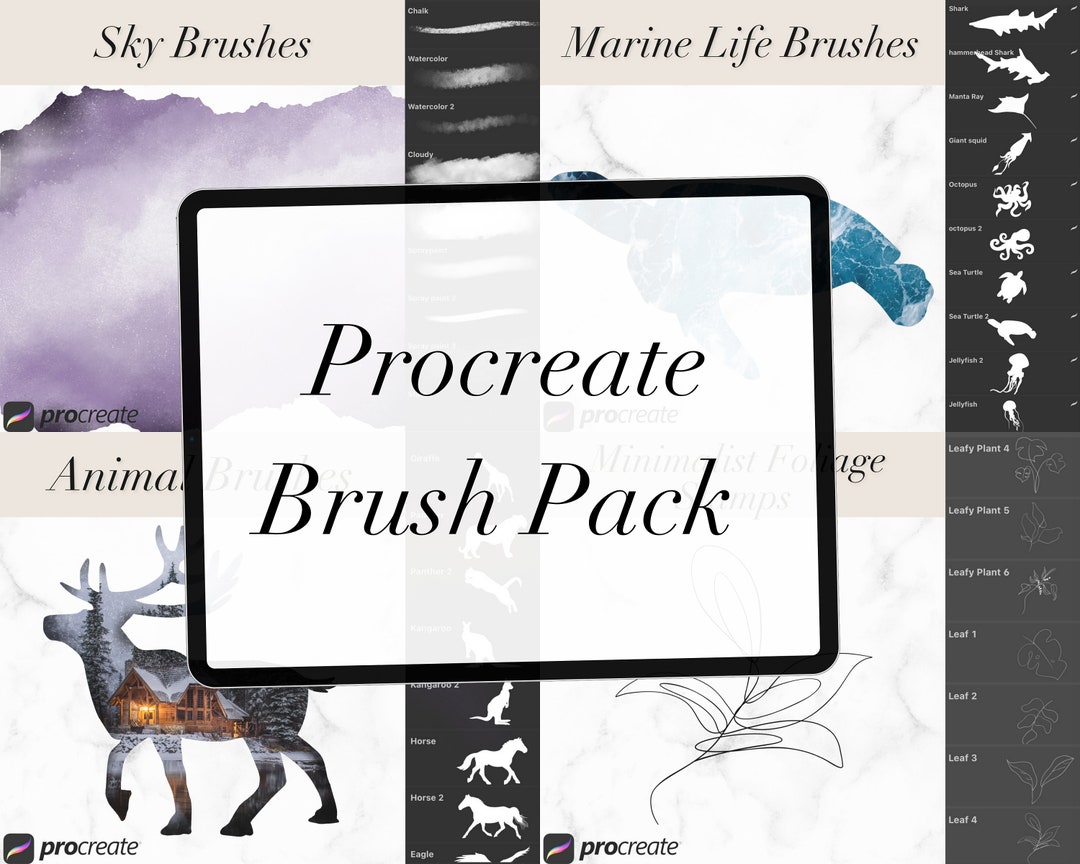 4 Set Procreate Brush Pack / Digital Download - Etsy