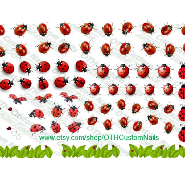 Ladybug Decal - Etsy