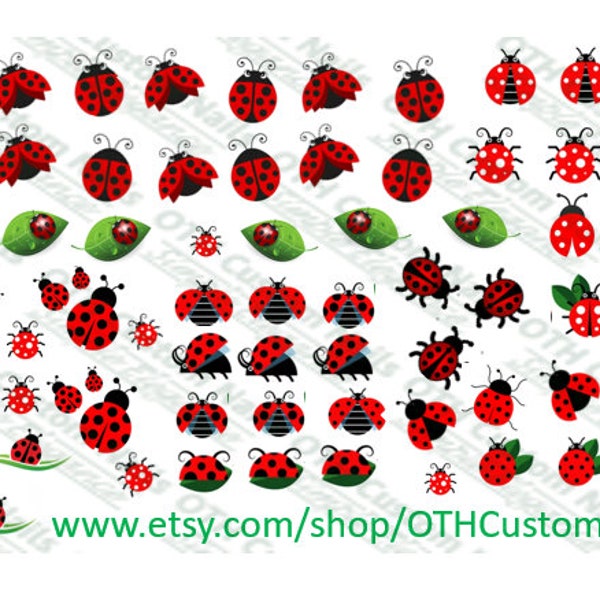 Ladybug Decal - Etsy
