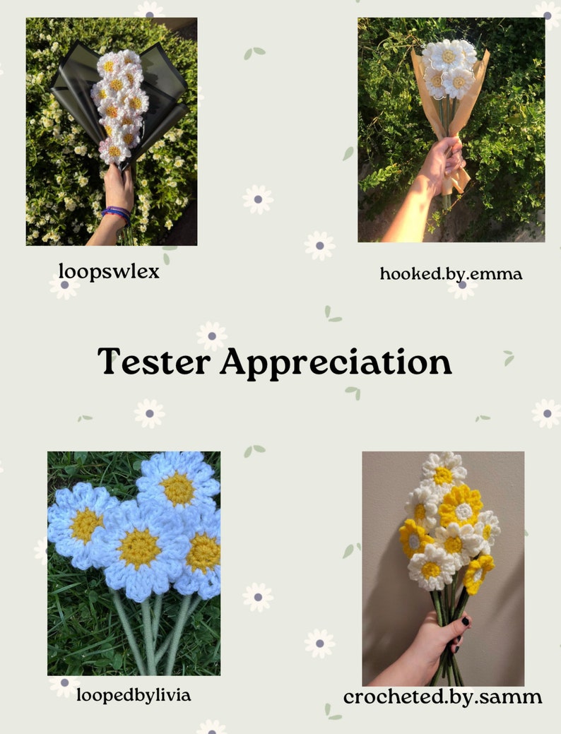 Crochet Daisy BEGINNER PATTERN - Etsy