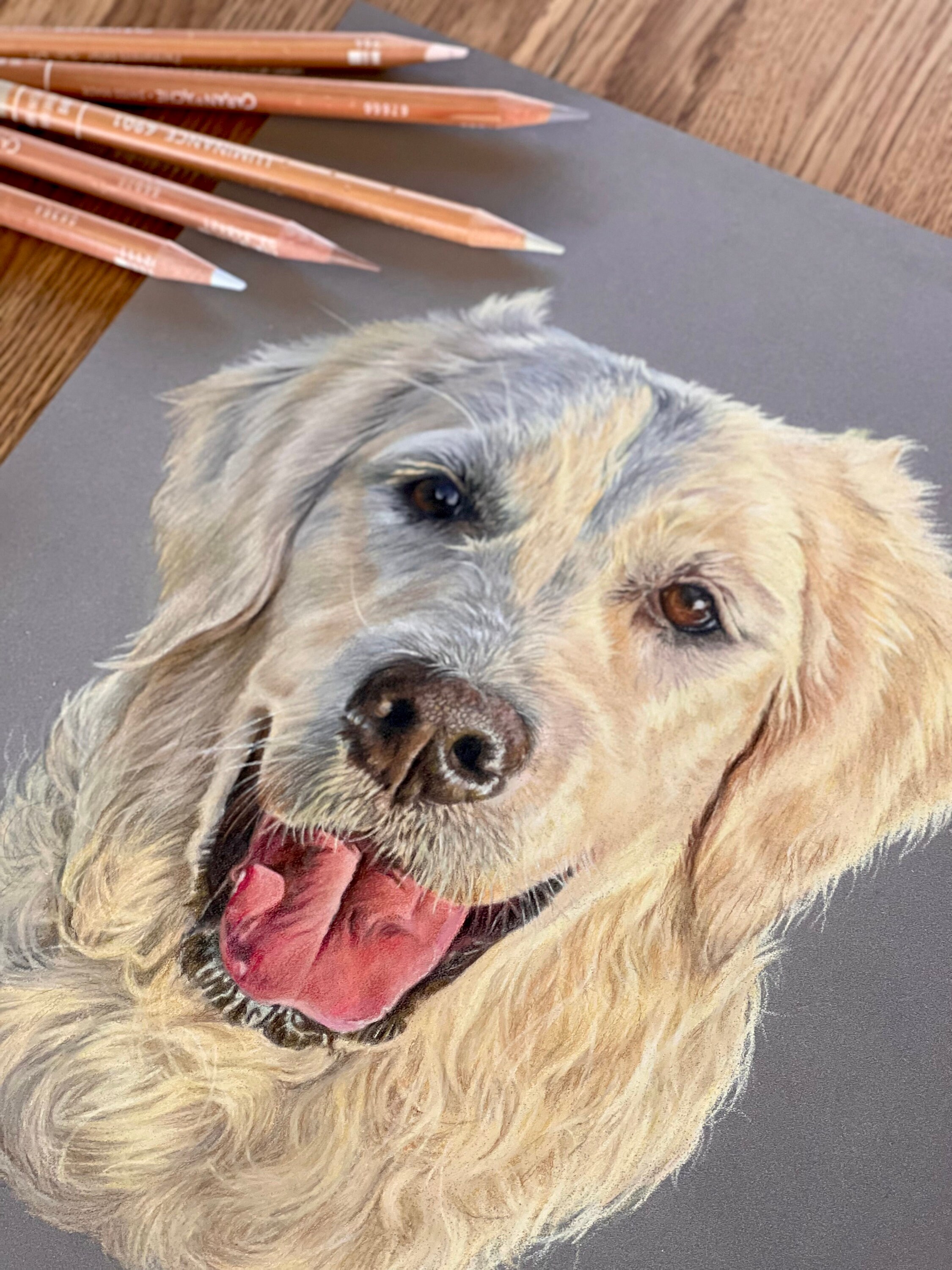 Realistic Hand Drawn Coloured Pencil Pet Portrait, Custom Personalised ...