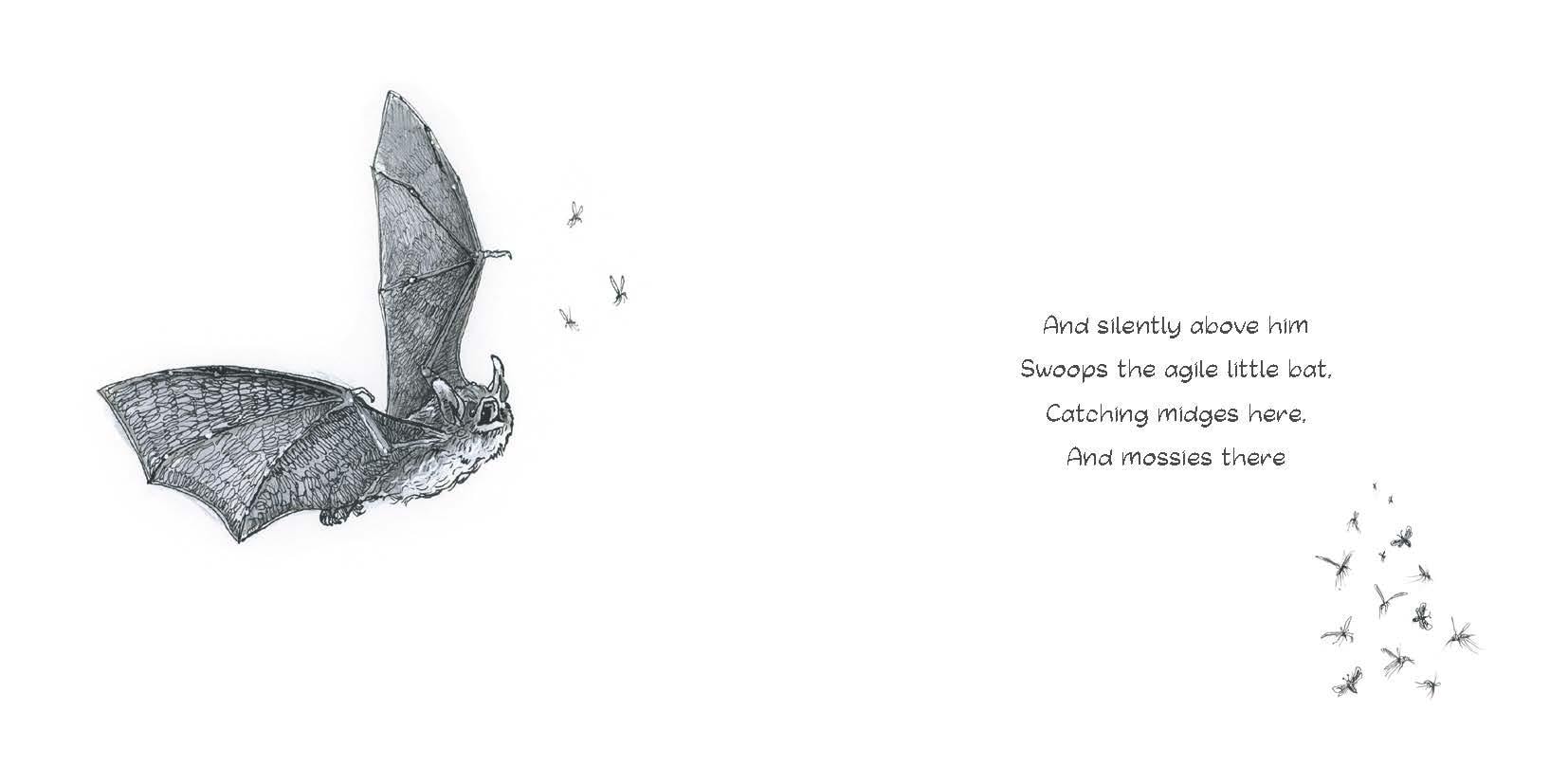 The Badger and the Bat, Award Winning Poem by Liz Now Fully Illustrated ...