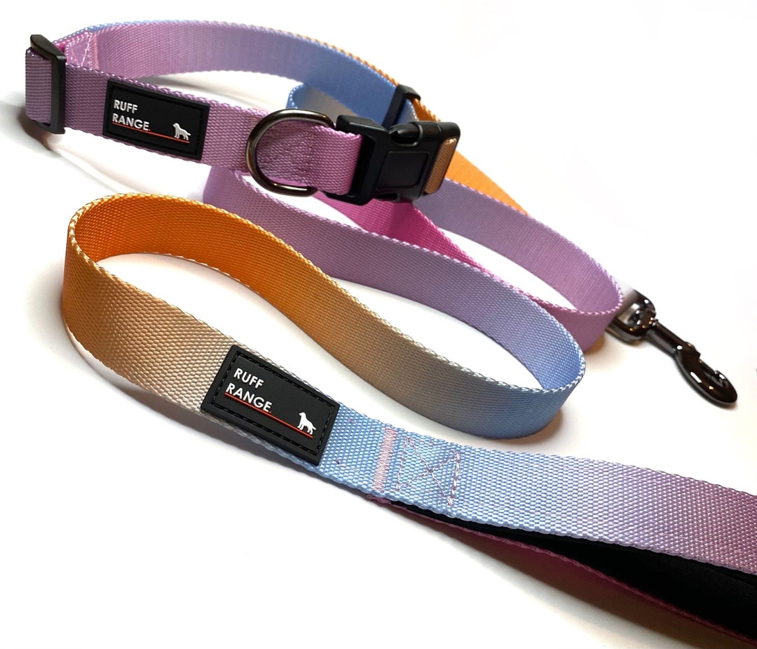 Dog Lead and Collar | Unique Dog Lead and Collar | Dog Lead | Dog ...