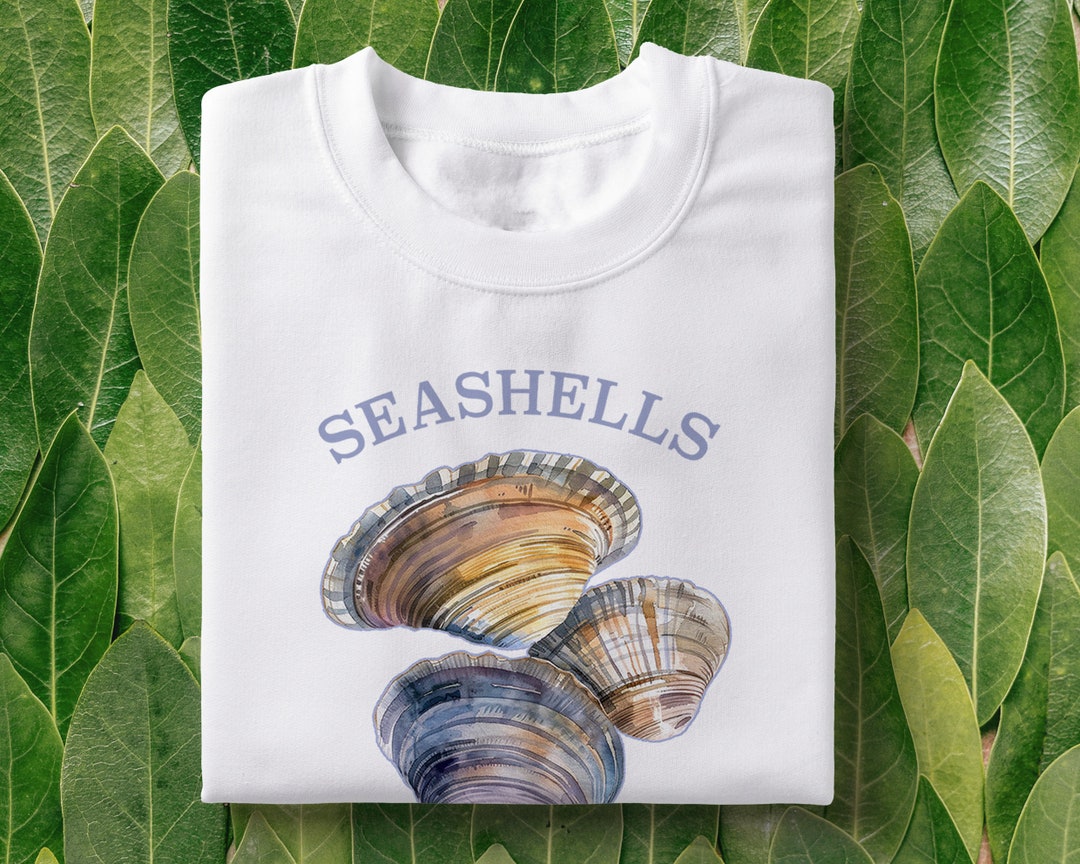 Sea Shell T-shirt, Seashell Shirt, Shells Illustrations, Cute Womens ...
