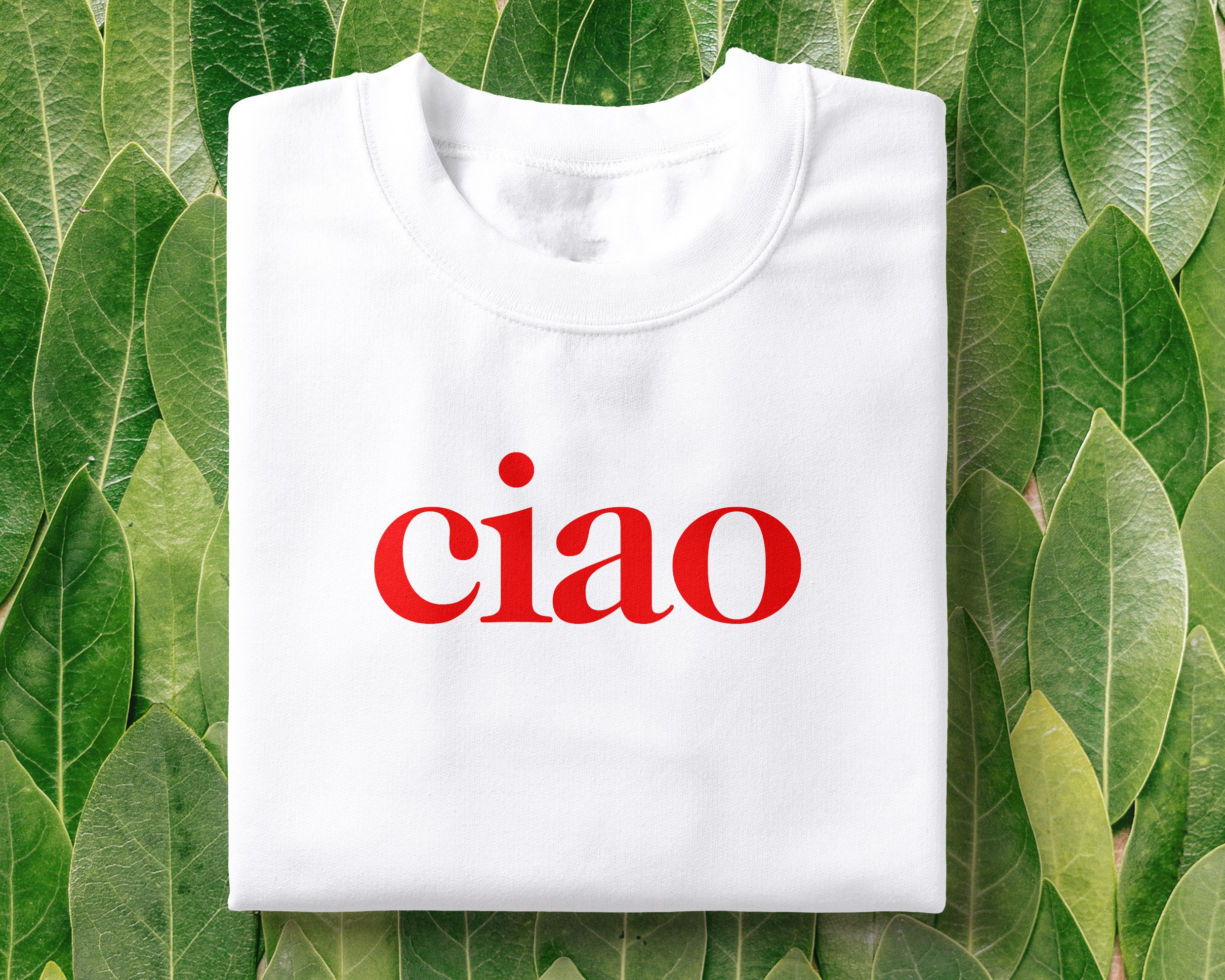 Ciao T-shirt Ciao Tee Ciao Bella Tee Hello Top Boho Y2K - Etsy