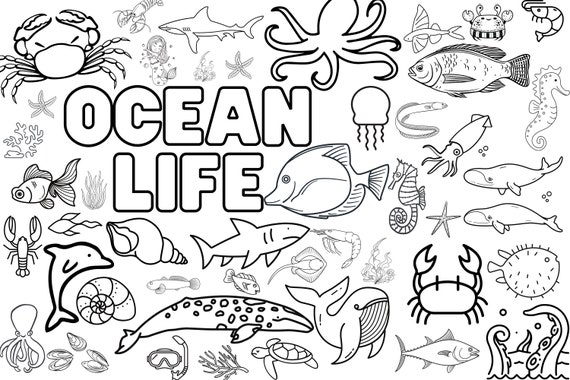 Huge Ocean Life Coloring Poster for Kids Adults great for | Etsy
