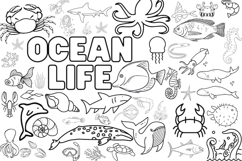 Huge Printed Ocean Life Coloring Poster for Kids Adults | Etsy