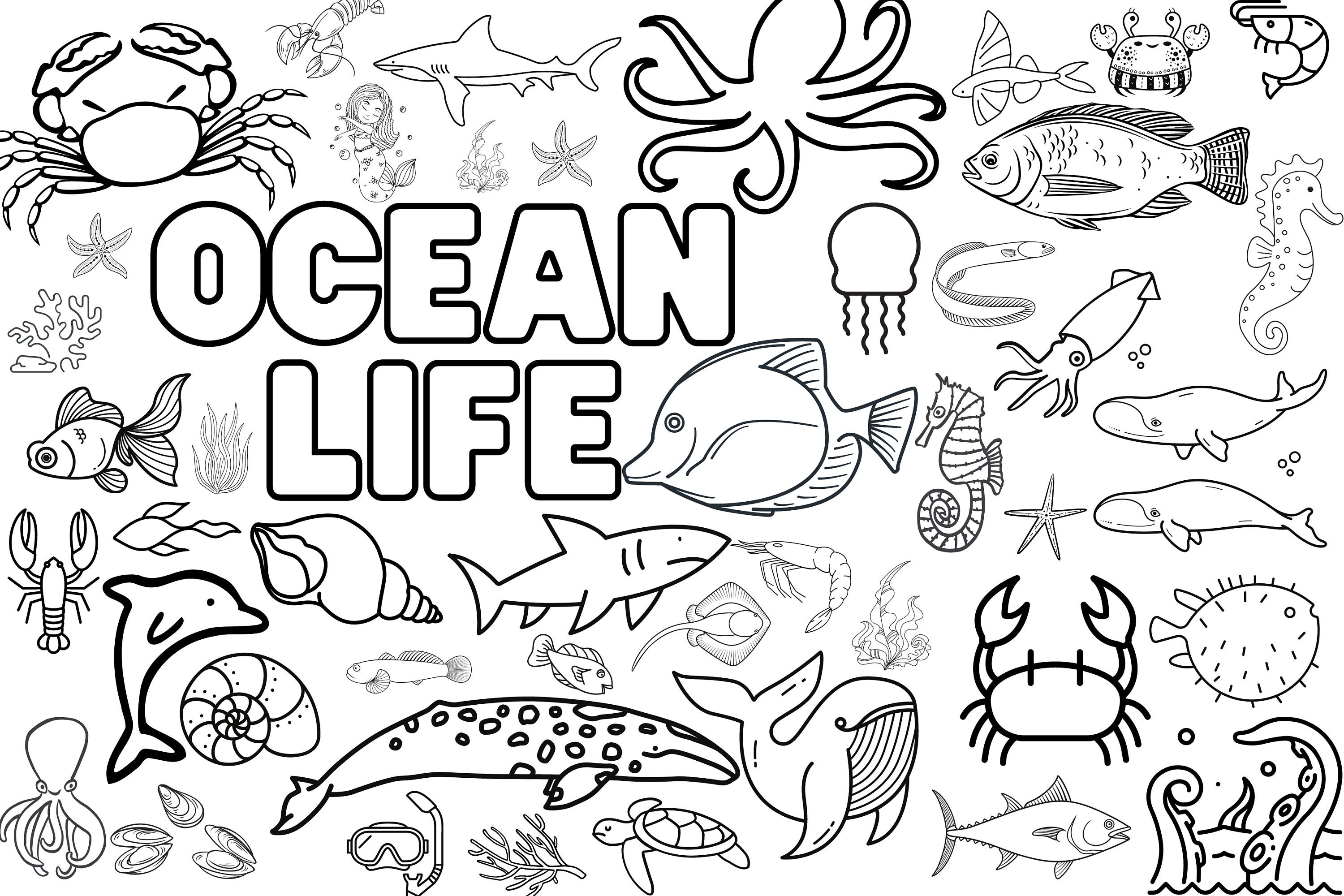 Huge Ocean Life Coloring Poster for Kids, Adults great for Family Time ...