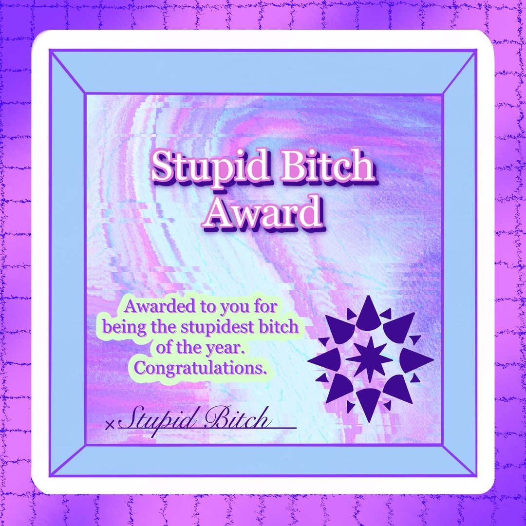 Holographic Sticker Funny Meme Vinyl Car Decal Cybercore Stupid Bitch ...