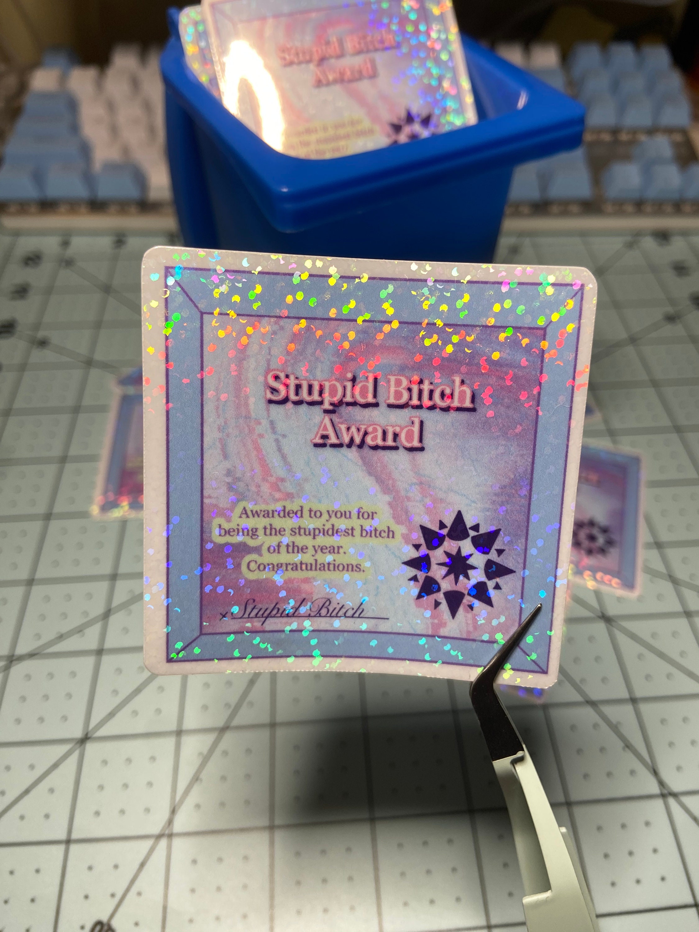 Holographic Sticker Funny Meme Vinyl Car Decal Cybercore Stupid Bitch ...