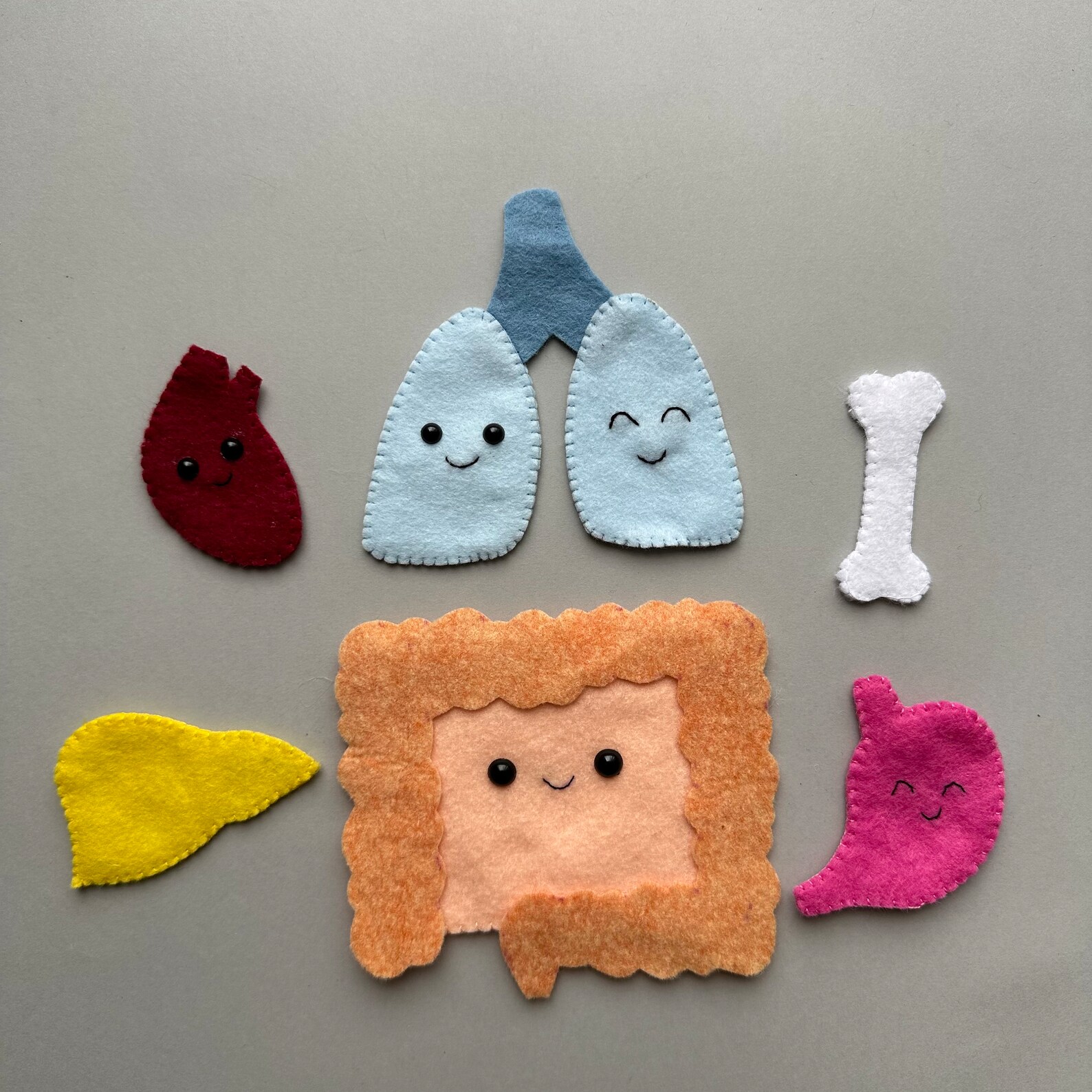 Set of 7 Pdf Pattern Felt Board Human Anatomy Educational Toys Busy ...